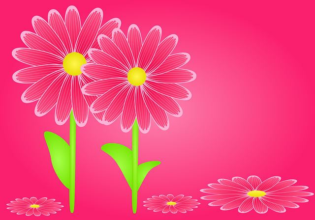 30,000+ Free Design Gerbera & Gerbera Images - Pixabay