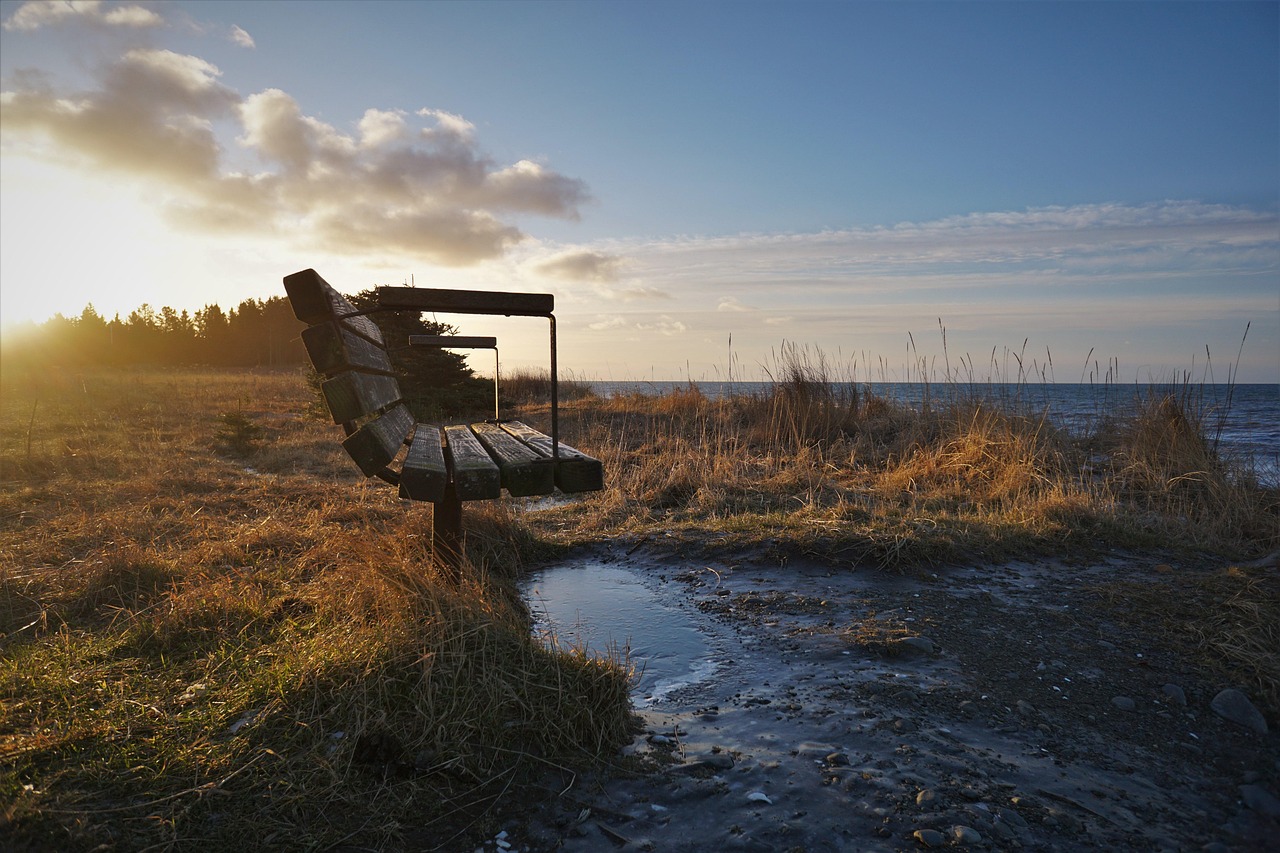 300+ Free Sea Bench & Bench Images - Pixabay