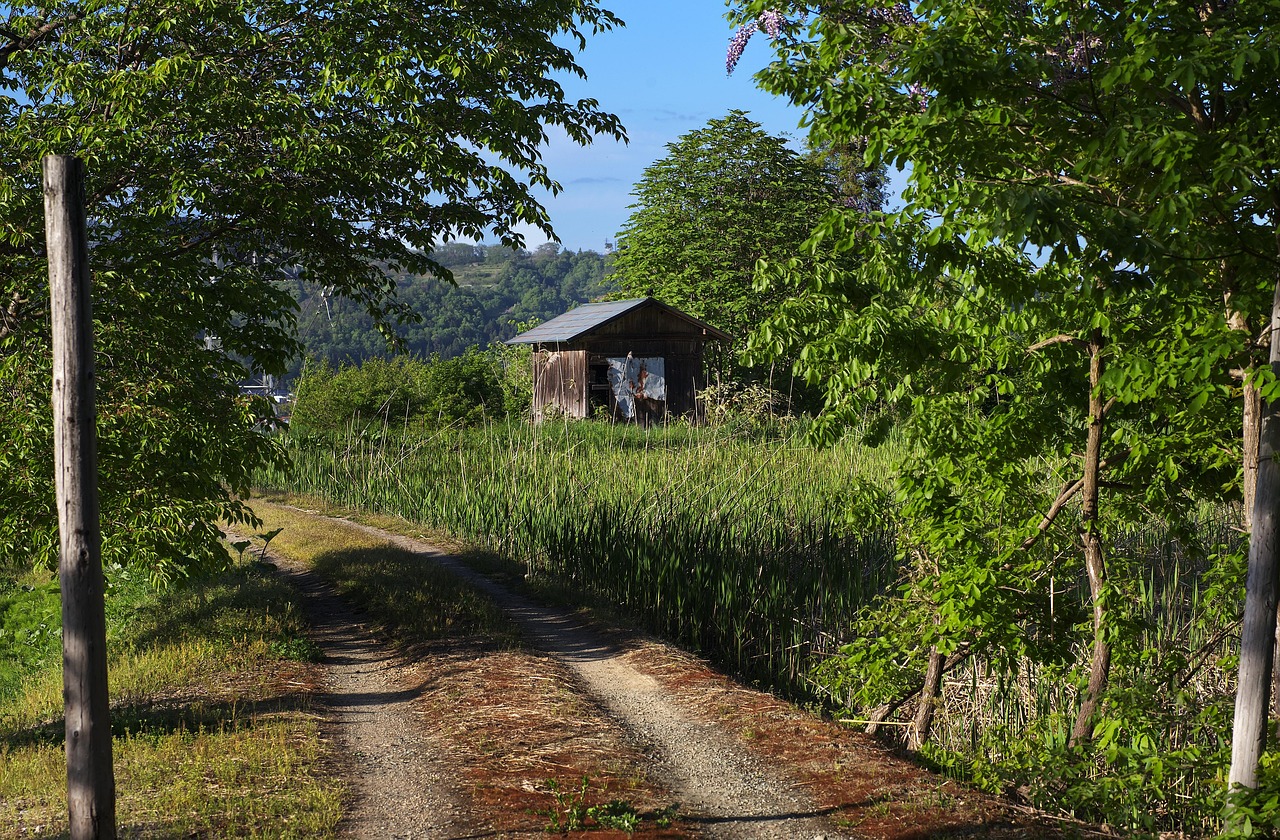 Country Road Path Farm - Free photo on Pixabay