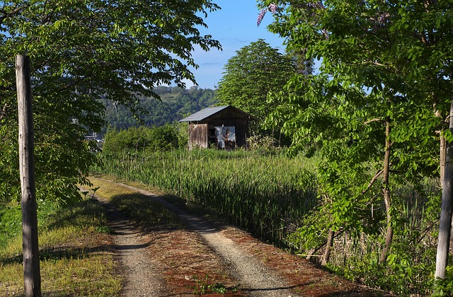 Country Road Path Farm - Free photo on Pixabay