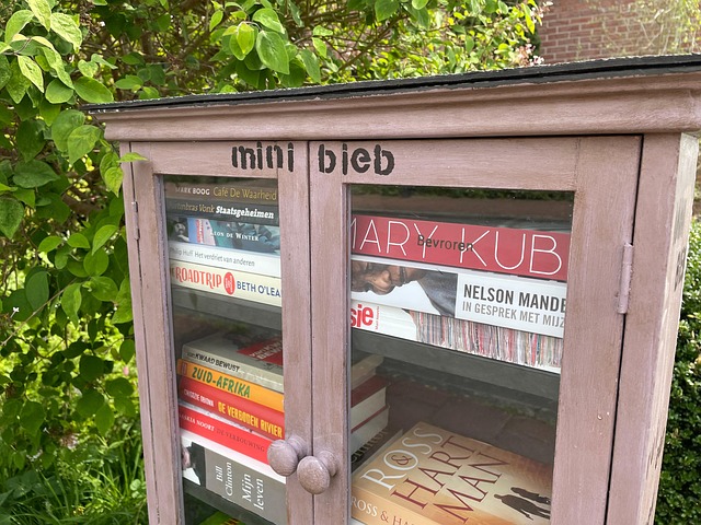 Minibieb Mini Bibliotheek - Ingyenes fotó a Pixabay-en - Pixabay