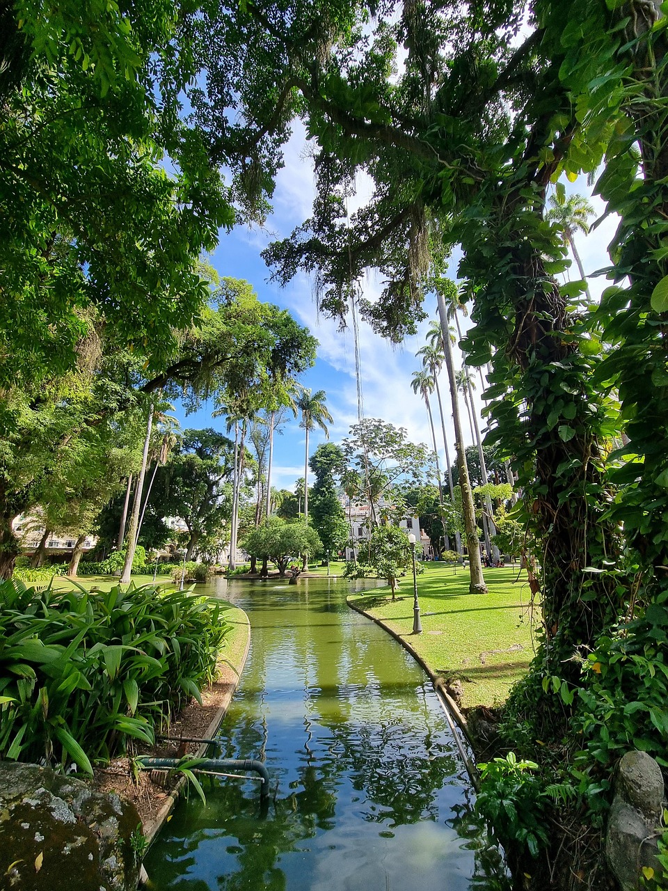 Republic Museum Garden Cattete Rio - Free photo on Pixabay - Pixabay