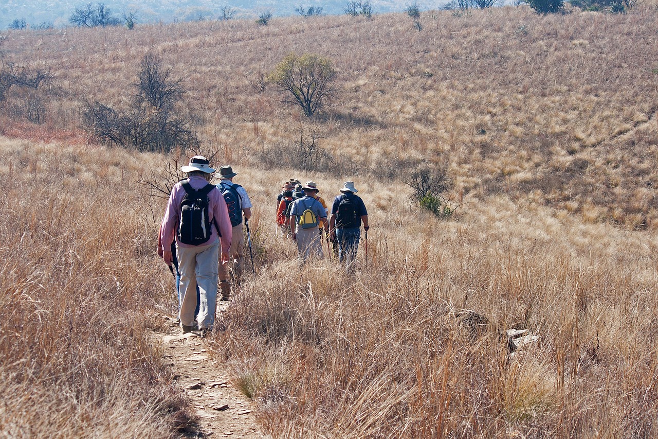 Hikers Path Landscape - Free photo on Pixabay - Pixabay