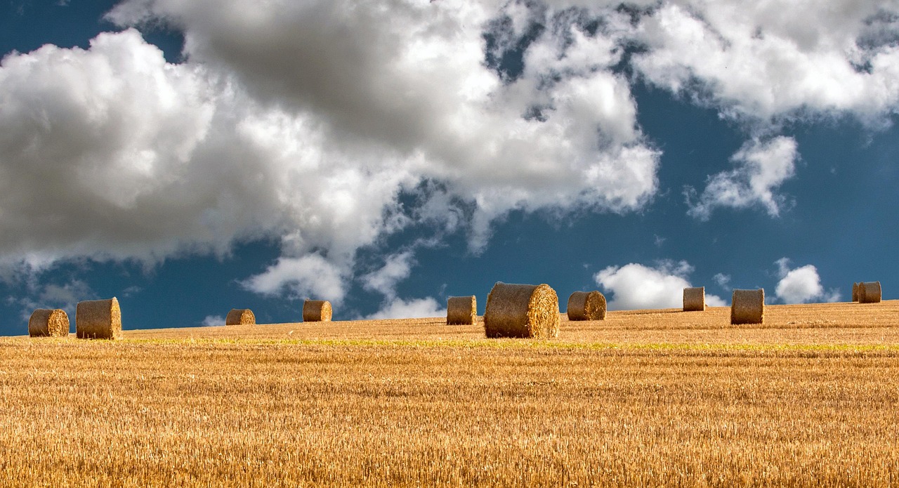 Cornfield Harvest Straw Bales - Free photo on Pixabay