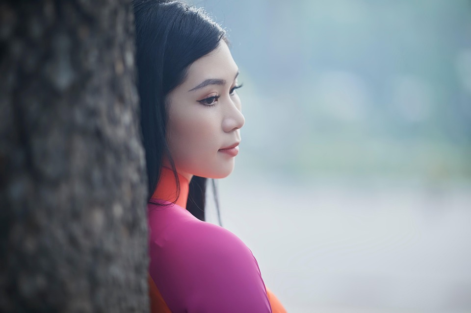 Vietnamese Traditional New Year - Free photo on Pixabay - Pixabay