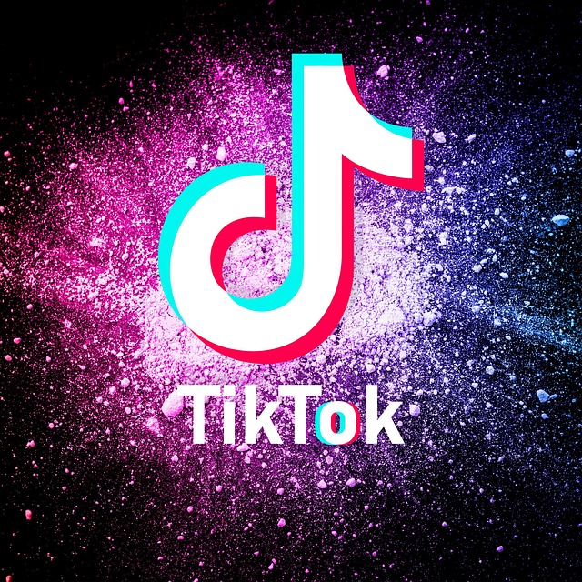Plus De 10 000 Images De Logo Ul Tiktok Et De Logo Pixabay Plus De 10 000 Images De Logo Ul Tiktok Et De Logo Pixabay