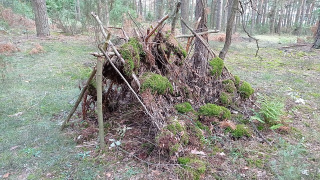 Une Cabane Dans Les Bois De - Photo gratuite sur Pixabay - Pixabay