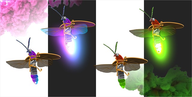 300+ Free Fireflies & Firefly Images - Pixabay