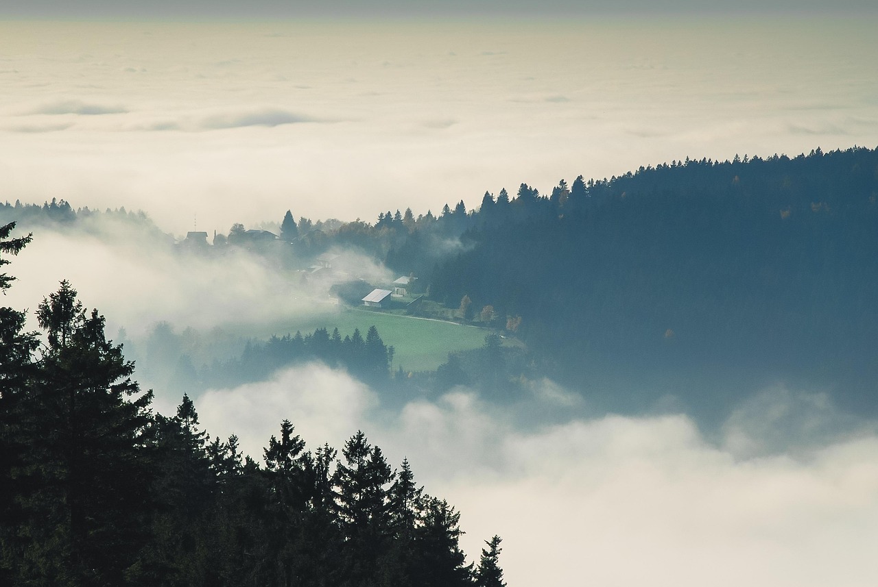 Hügel Nebel Wald - Kostenloses Foto auf Pixabay - Pixabay