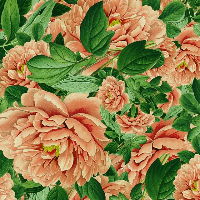 20,000+ Free Floral Motifs & Nature Images - Pixabay