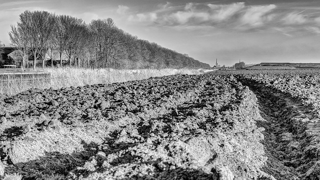Paisaje Árboles Lodo El - Foto gratis en Pixabay - Pixabay