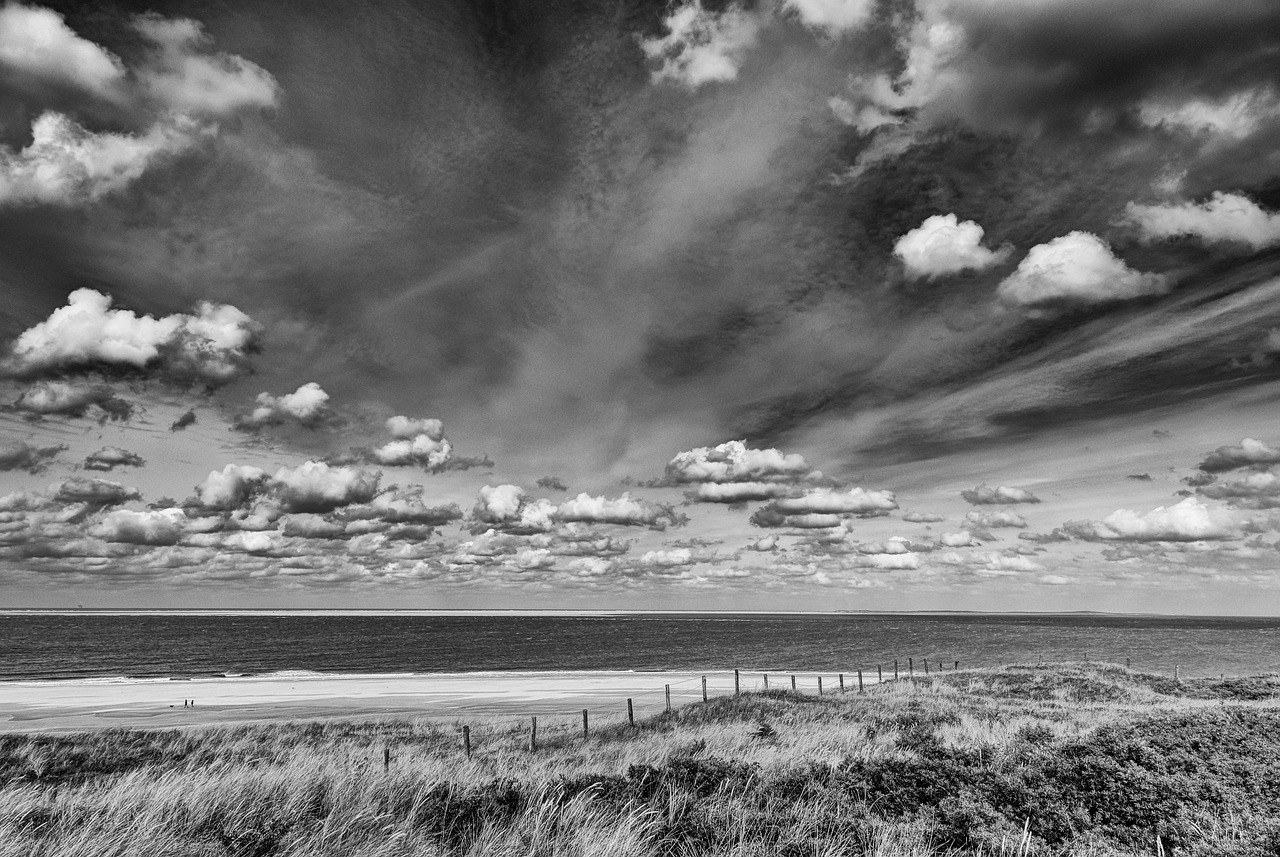 Beachgrass Praia Céu - Foto gratuita no Pixabay - Pixabay