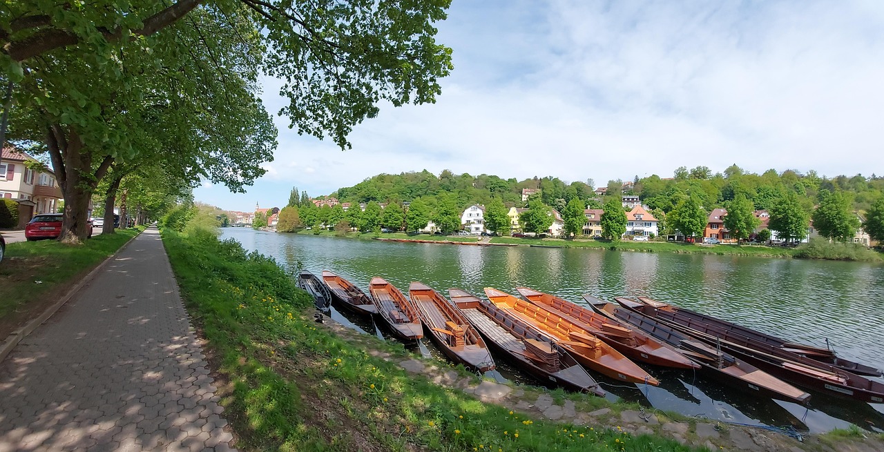 Tubingen Menyepak Bola Leher - Foto gratis di Pixabay - Pixabay