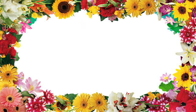 10,000+ Free Pretty Frame & Frame Images - Pixabay
