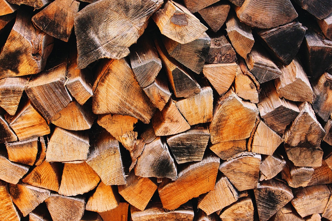 Bois Des Troncs D'Arbres De - Photo gratuite sur Pixabay