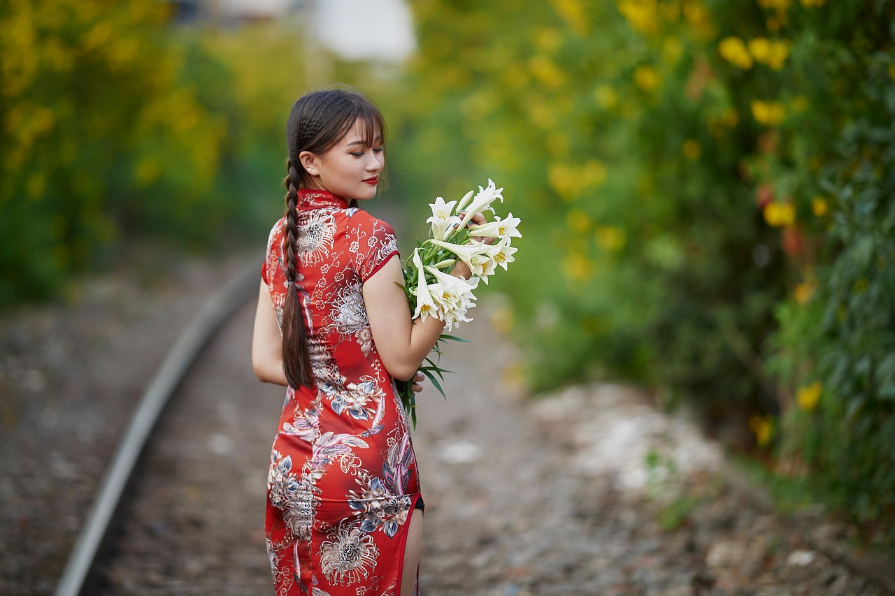Cheongsam Innovative - Free photo on Pixabay - Pixabay