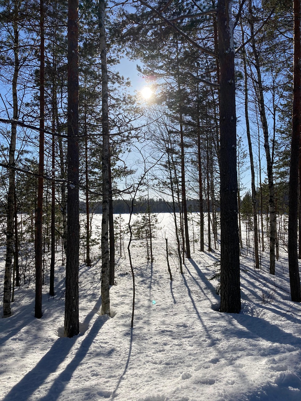 Durchschauen Winterlich Schnee - Kostenloses Foto auf Pixabay - Pixabay