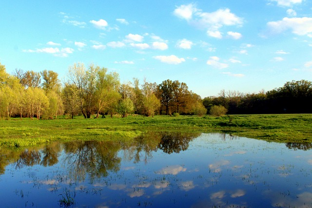 Nature Outdoors Wilderness - Free photo on Pixabay