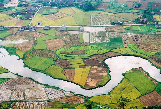 Rice Fields River Countryside - Free photo on Pixabay