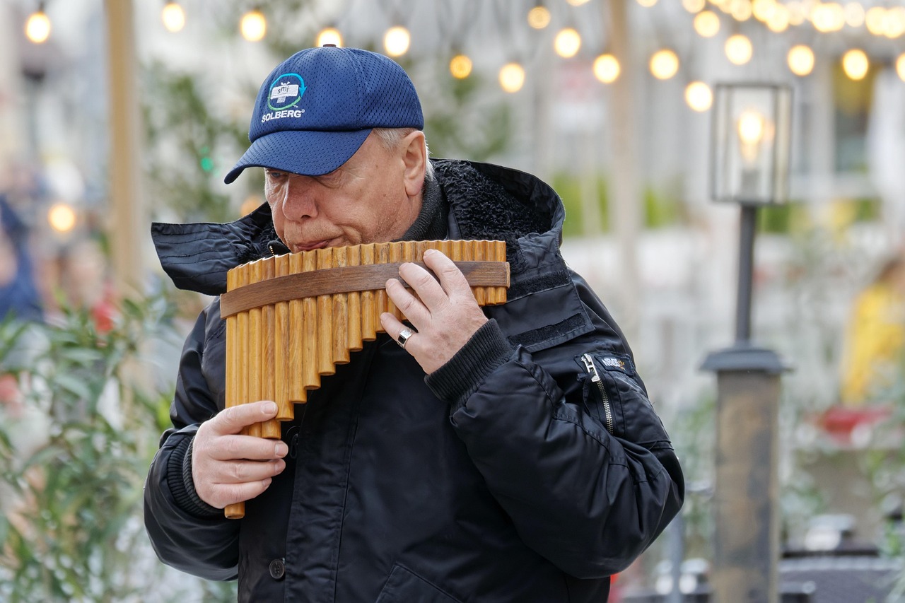 Man Elderly Busker - Free photo on Pixabay
