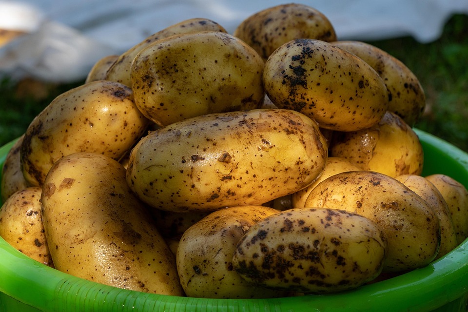 Potato Vegetables Food - Free photo on Pixabay - Pixabay