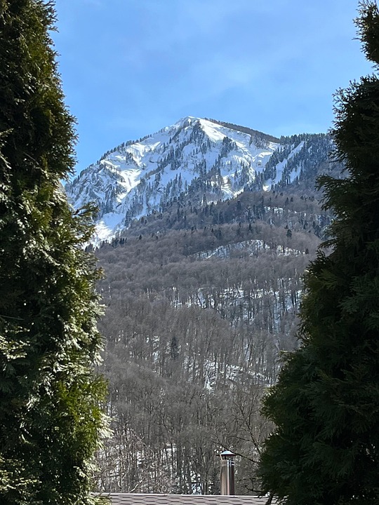 Sochi Nature Landscape - Free photo on Pixabay - Pixabay