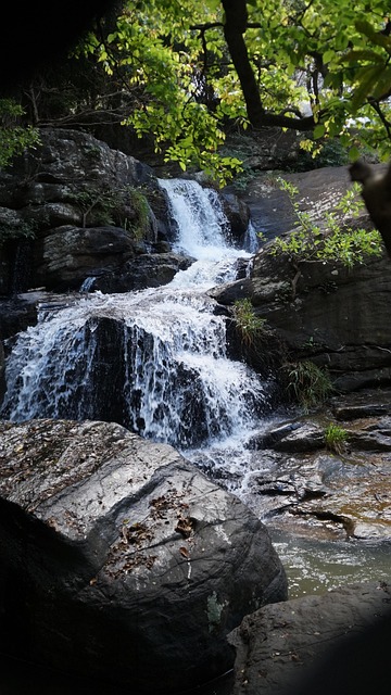 Rathna Ella Waterfall Srilanka - Free photo on Pixabay - Pixabay