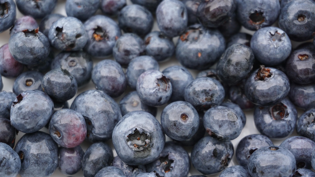 Blueberries Berries Fruits Fresh - Free photo on Pixabay - Pixabay
