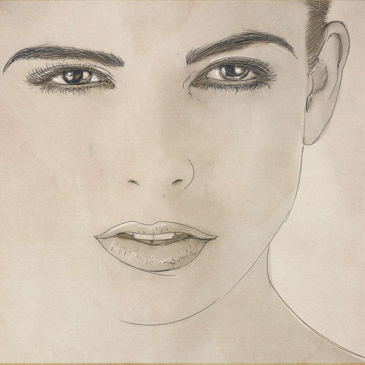 Download Woman Drawing Sketch Royalty-Free Stock Illustration Image ...