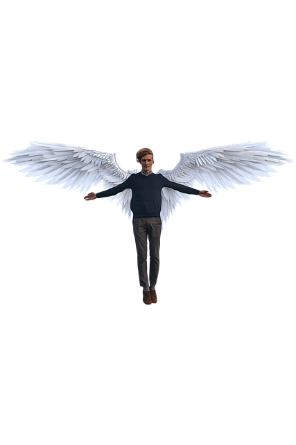 Ange Homme Ailes - Image gratuite sur Pixabay