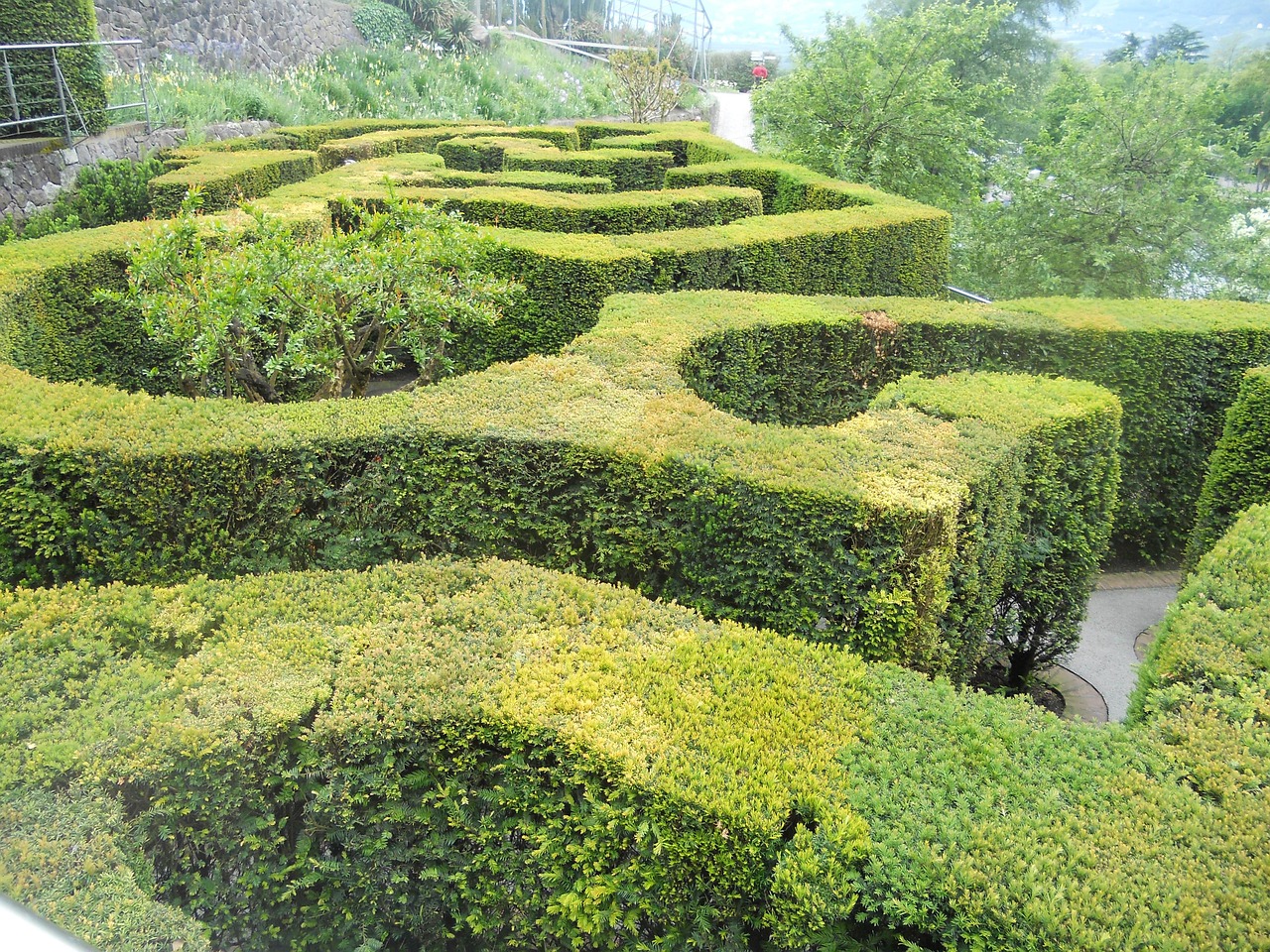 Labyrinthe Haie Jardin - Photo gratuite sur Pixabay - Pixabay