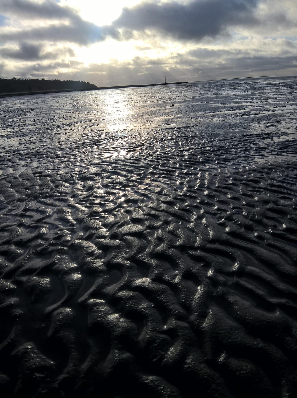 North Sea Wadden - Free photo on Pixabay - Pixabay