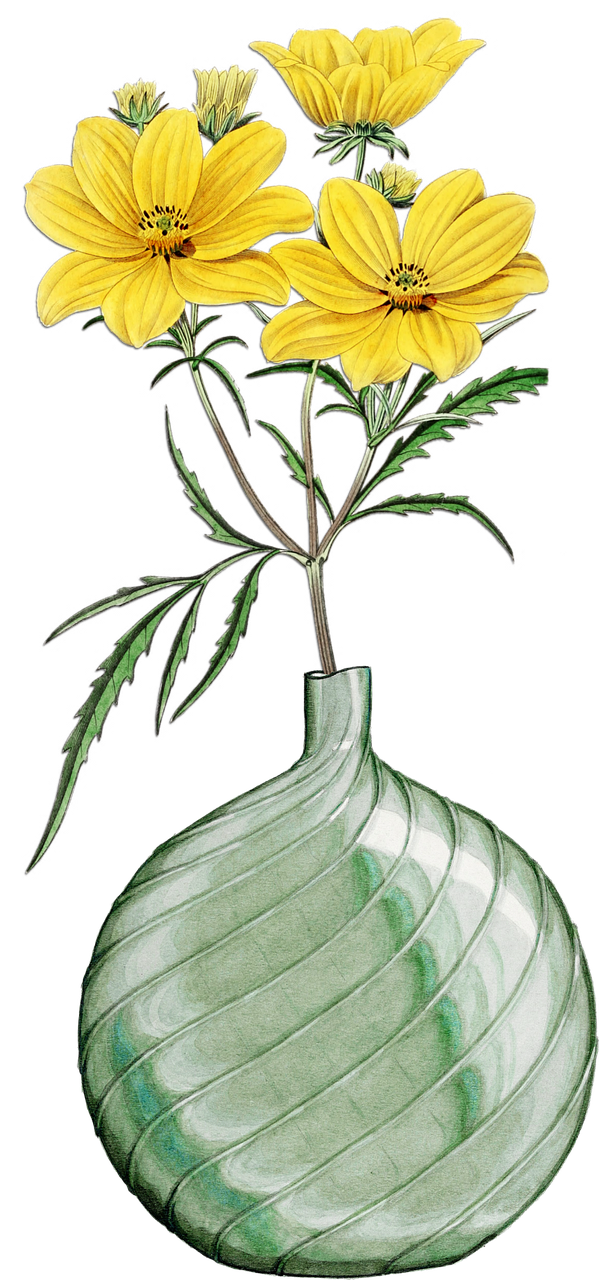 Blomster I Vase Utklipp