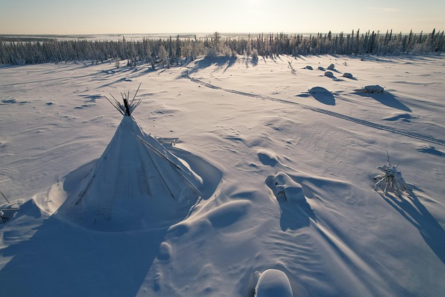 Salekhard Snow Winter Polar - Free photo on Pixabay - Pixabay