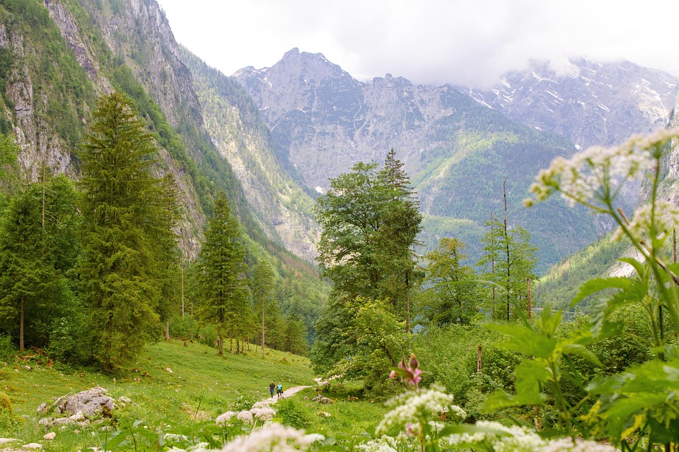 Montagnes Forêt Nature - Photo gratuite sur Pixabay - Pixabay