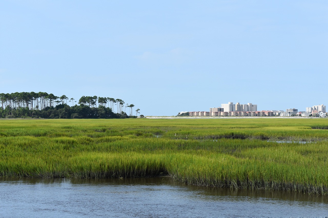 Beach Coast Marsh - Free photo on Pixabay