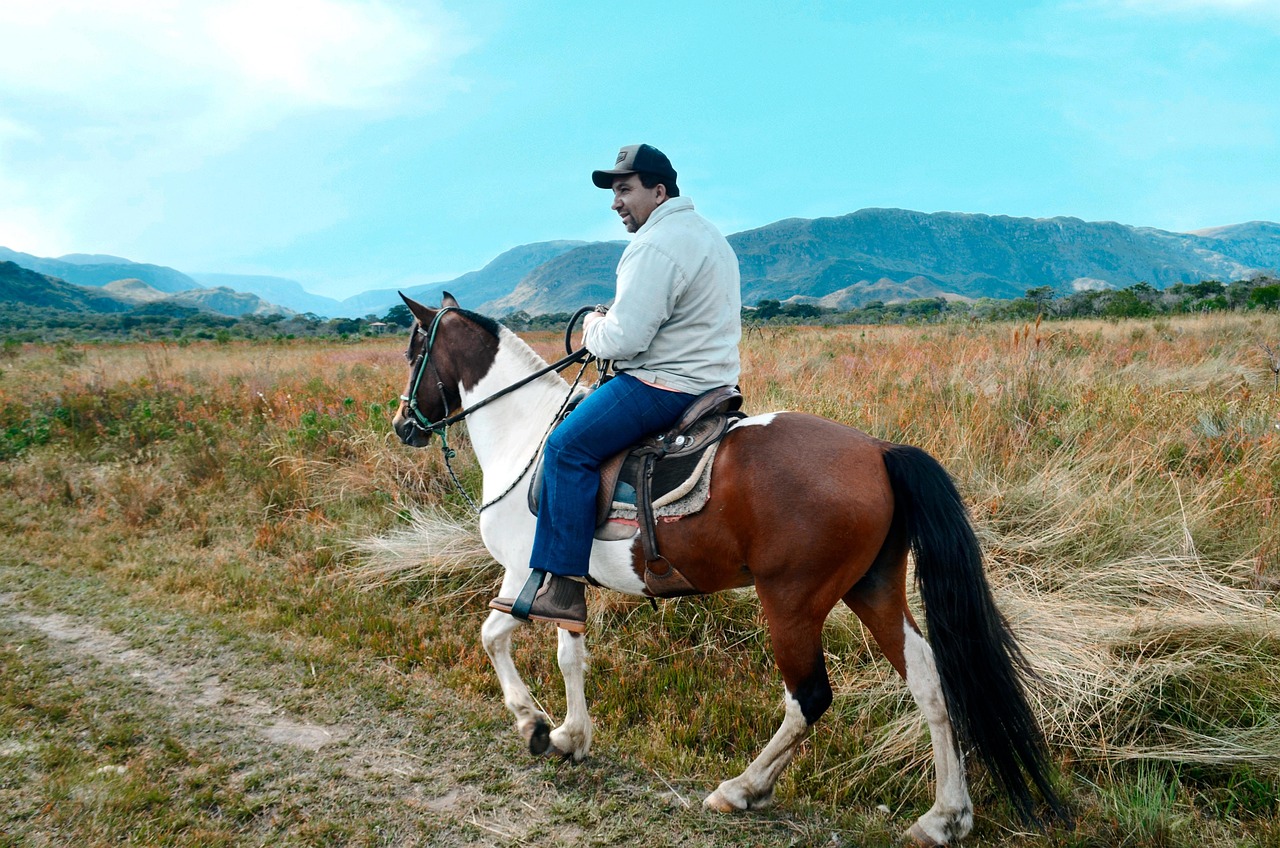 National Park Horseback Riding - Free photo on Pixabay