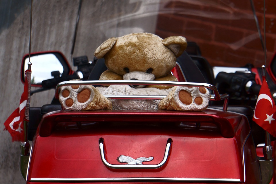 Cuddly Bear Plush Toys Turkish - Free photo on Pixabay - Pixabay
