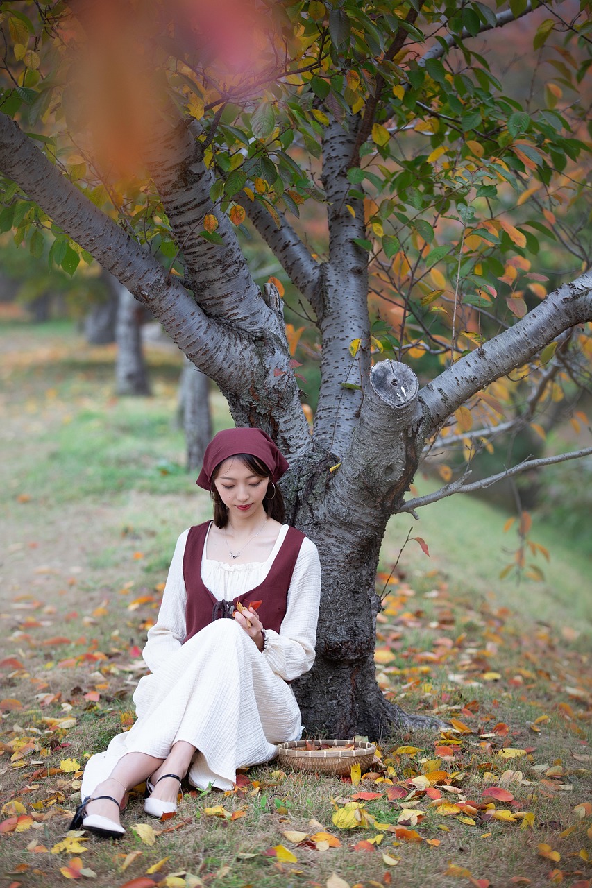 200,000+ Free Fallen Tree & Nature Images - Pixabay