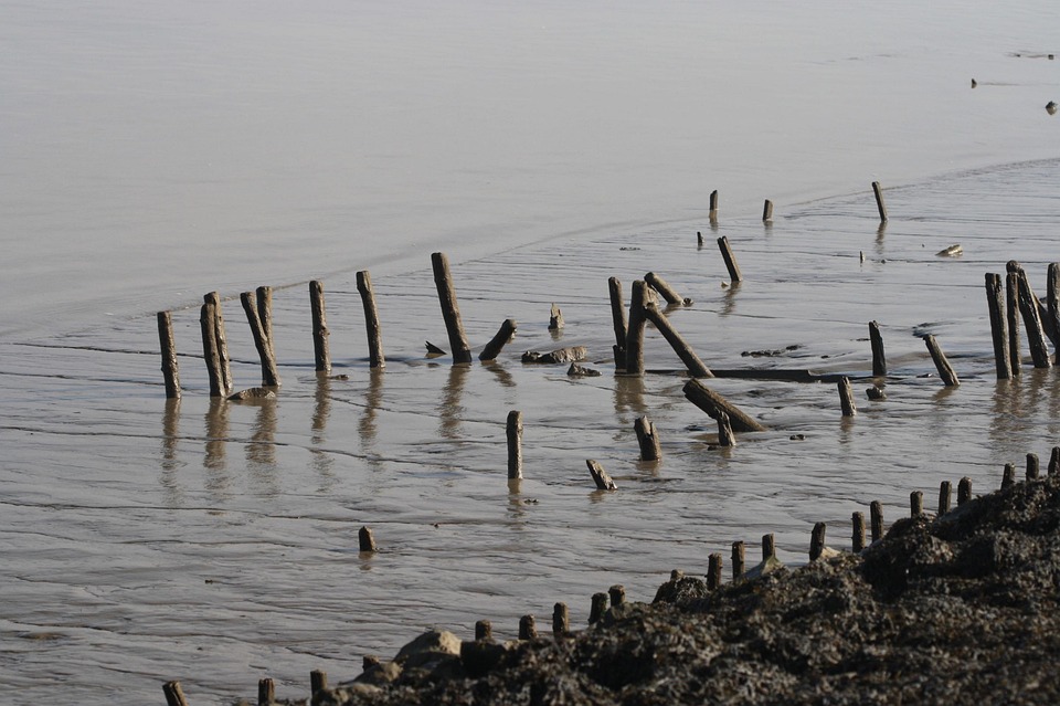 Wattenmeer Nordsee Strand - Kostenloses Foto auf Pixabay