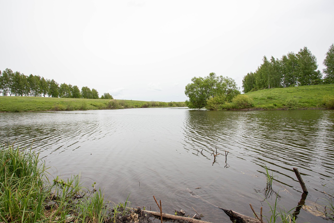 Étang Eau Plage - Photo gratuite sur Pixabay - Pixabay