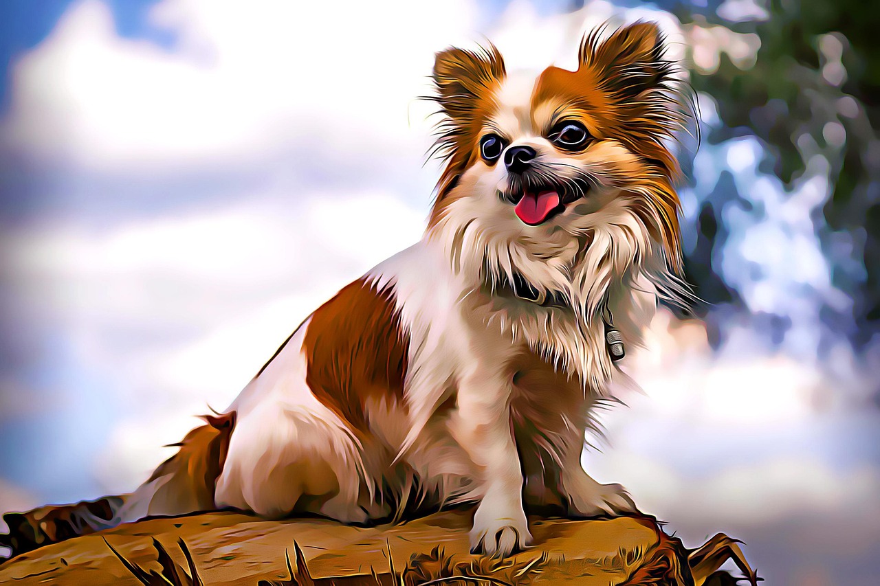 10,000+ Free Best Friend & Dog Images - Pixabay