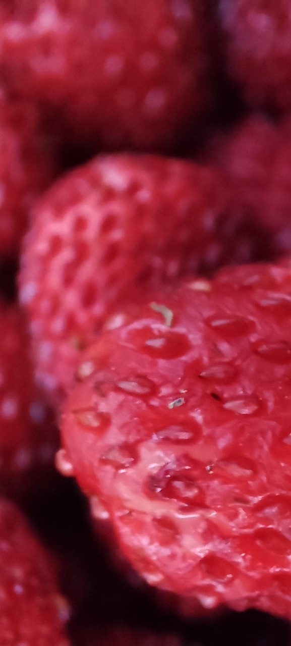 Fraise Fraises Des Bois Nature - Photo gratuite sur Pixabay - Pixabay