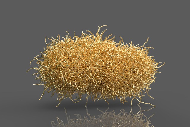 Gold Hay Tumbleweed - Free photo on Pixabay - Pixabay
