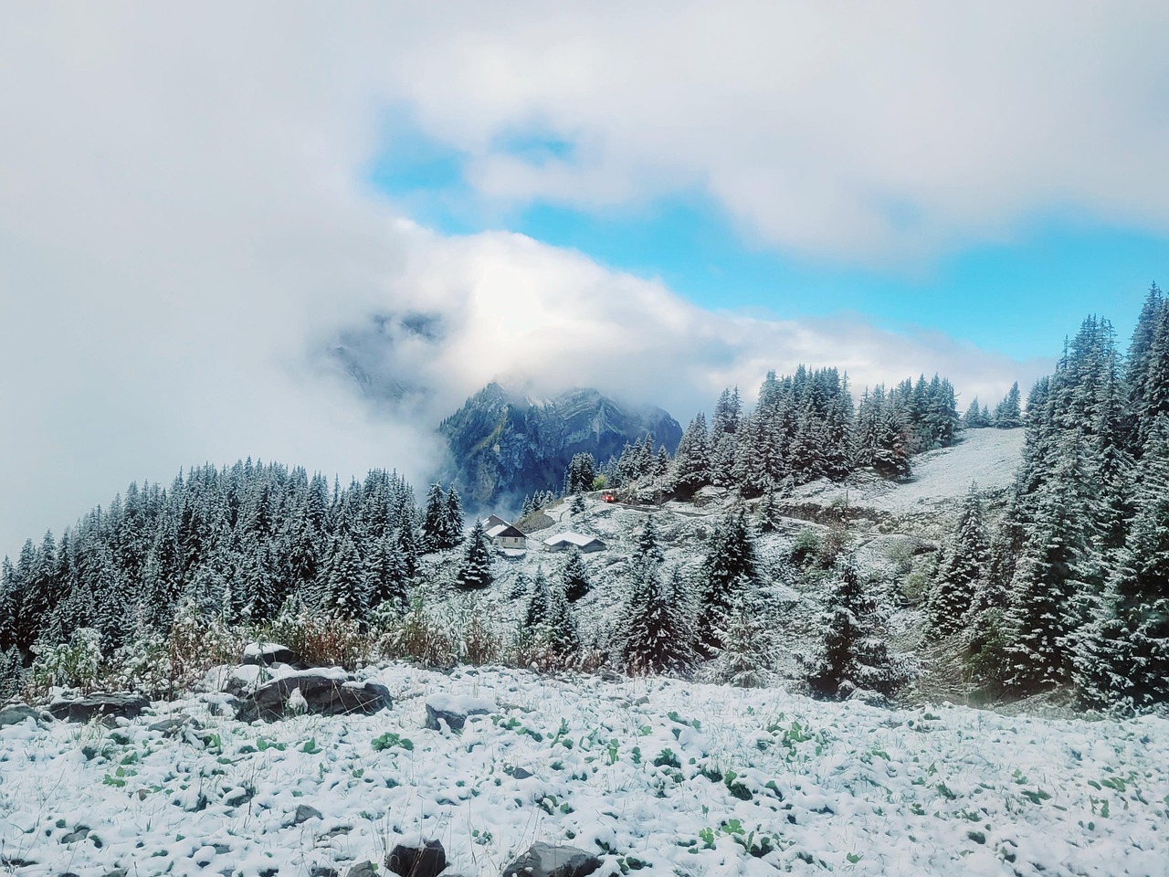 Plat Schynige Former Neige - Photo gratuite sur Pixabay