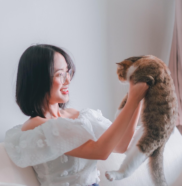 Asian Woman Cat Pet - Free photo on Pixabay - Pixabay