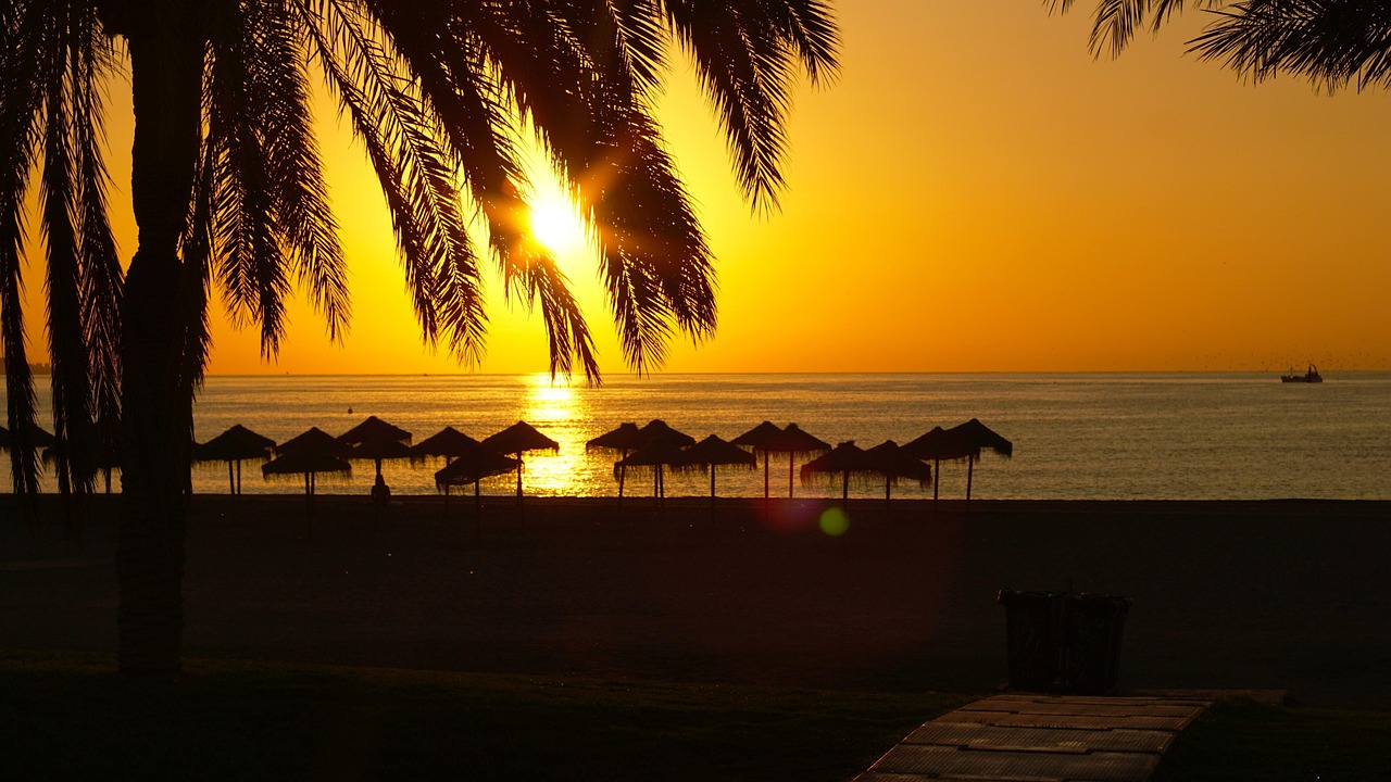 Palmen Strand Meer - Kostenloses Foto auf Pixabay - Pixabay