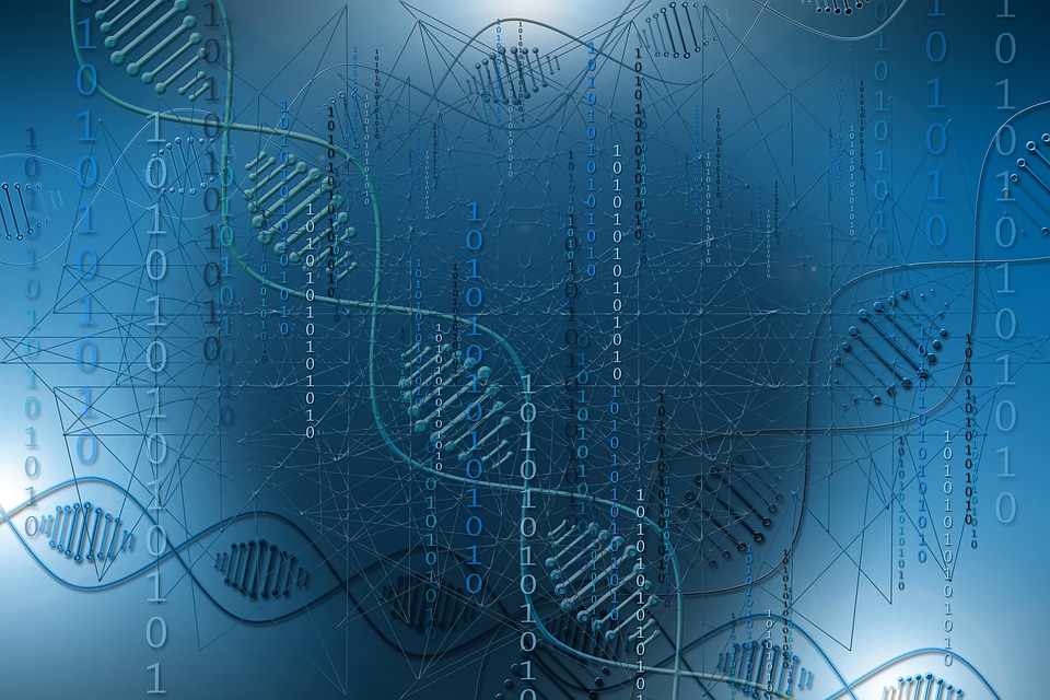 Dna Analys Forskning Genetiskt - Gratis bilder på Pixabay - Pixabay