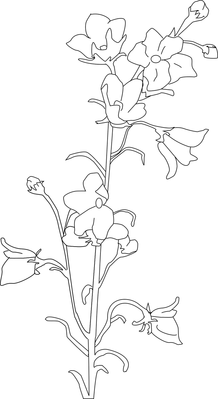 500,000+ Free Coloring Background & Coloring Book Images - Pixabay
