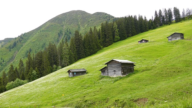 Berglandschaft Bergsommer Wiese - Kostenloses Foto auf Pixabay - Pixabay